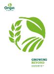 Origin Enterprises Plc Share Price (OGN) Ord Eur0.01 | OGN